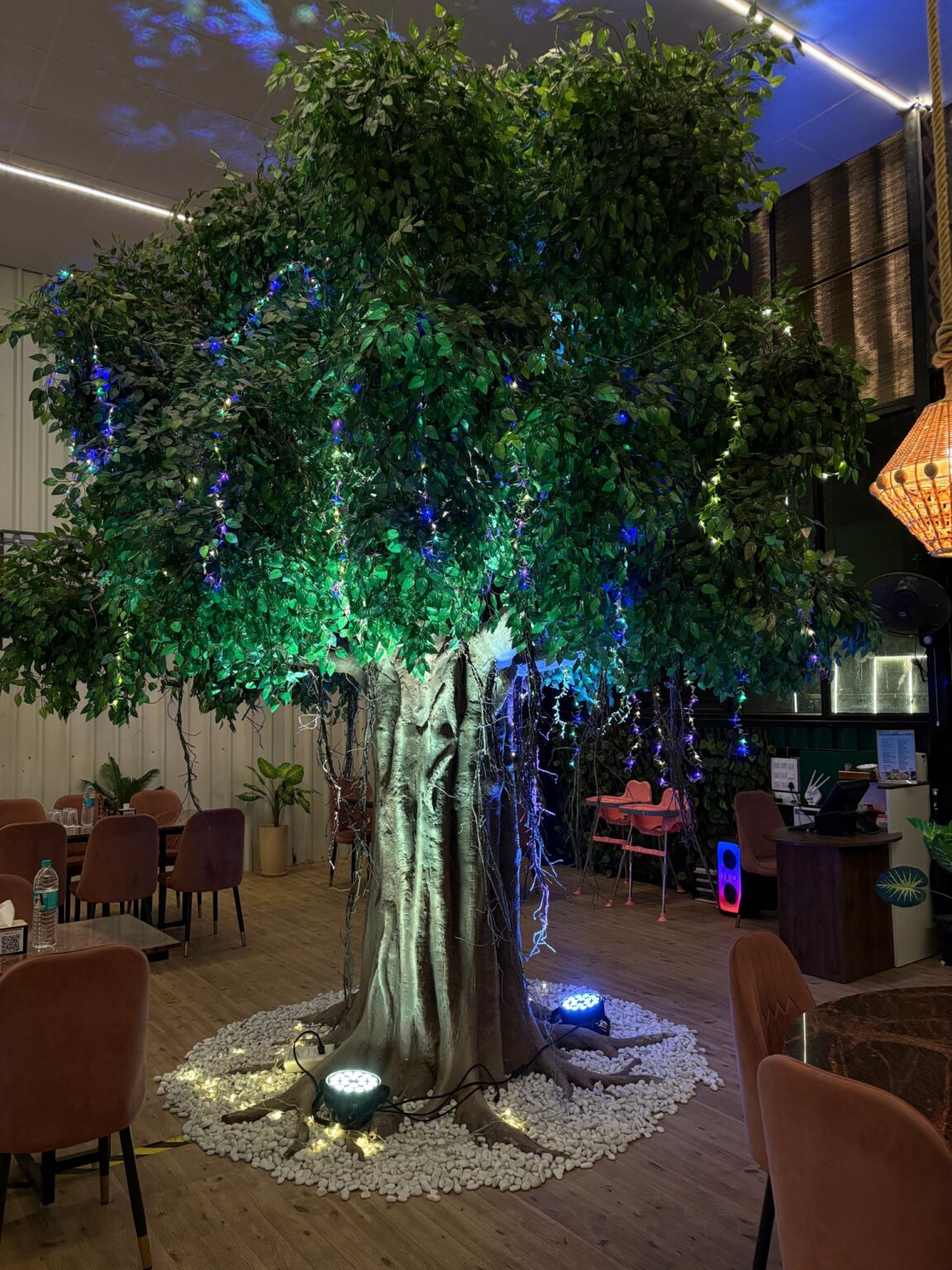 Best Restaurant in Sholinganallur (2026) - MMC Restaurant